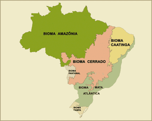 Geography 5 Final Presentation: Maps of Cerrado