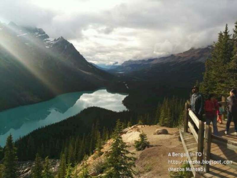 a bengali in TO: Western Canada Diaries - 10. Lake Peyto and Bow Summit ...