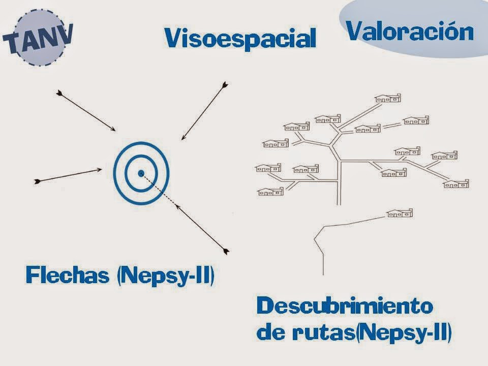When The Mind Wanders: Trastorno de Aprendizaje no Verbal (TANV)