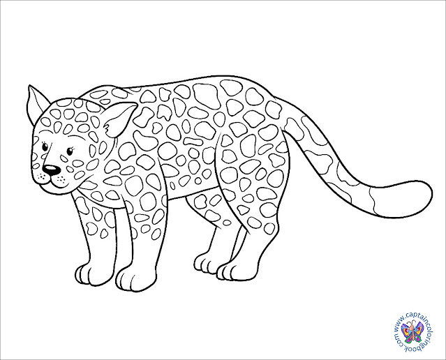 Coloring book pdf download