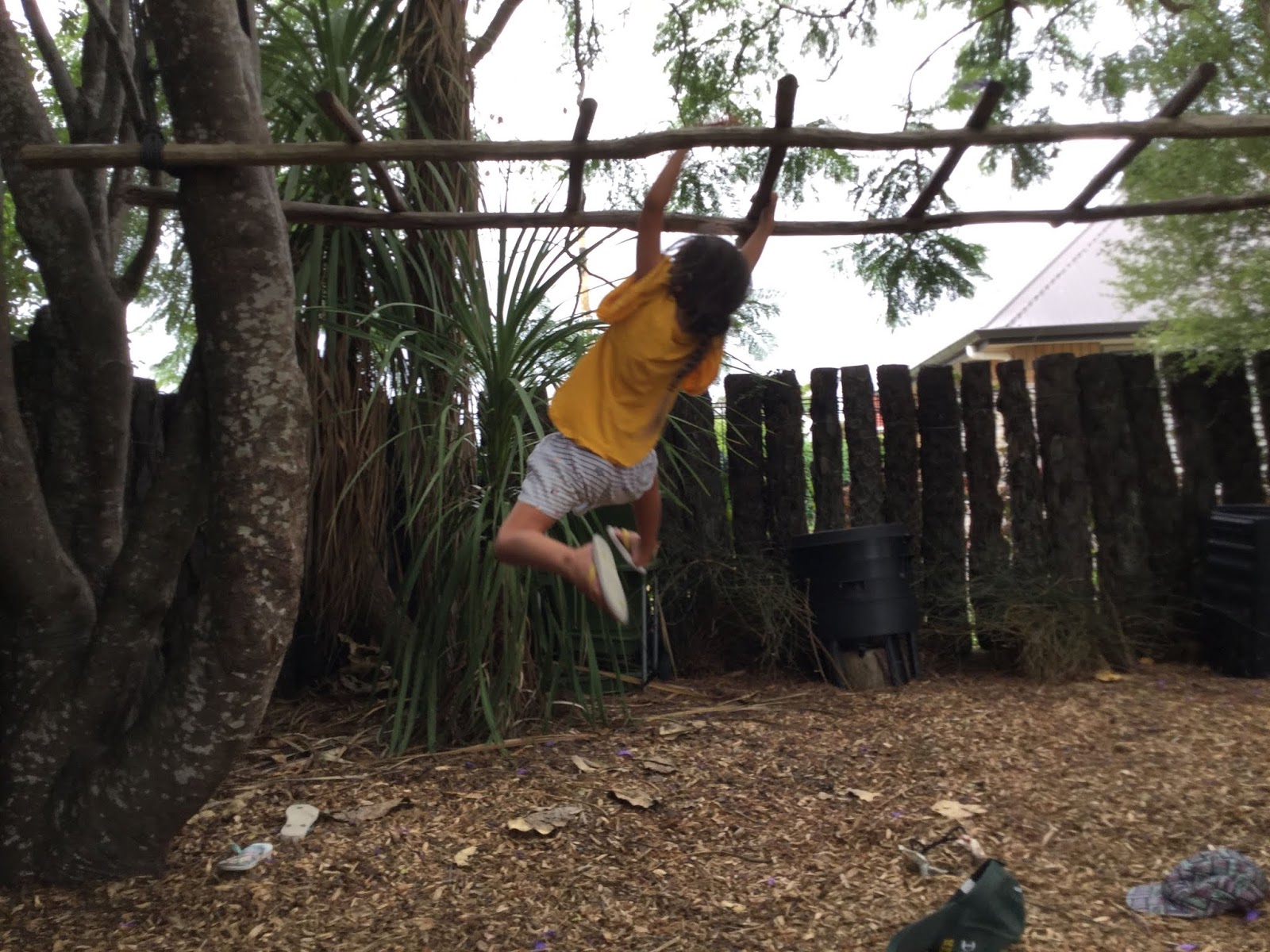 Mairtown Kindergarten: How can tree climbing be valuable learning?