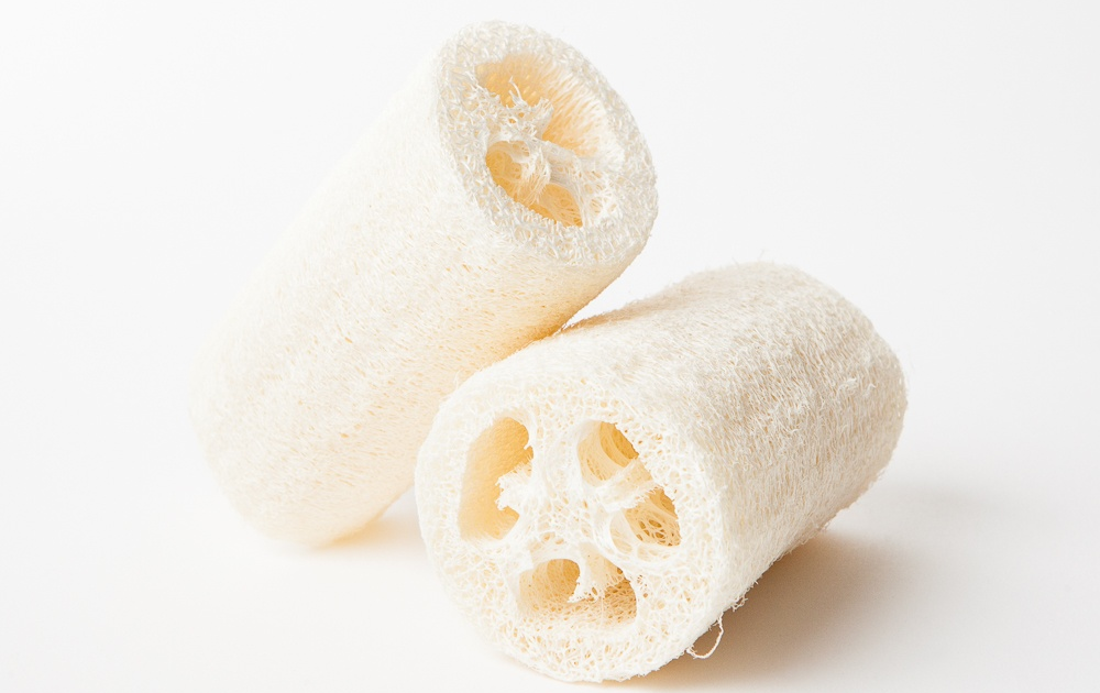 Why You Should Use a Luffa- Everything Explained