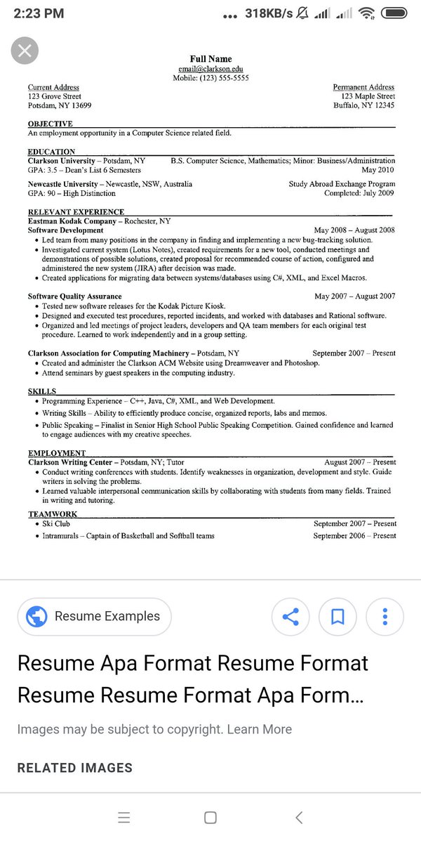 Curriculum Vitae Apa Format - Birthday Letter