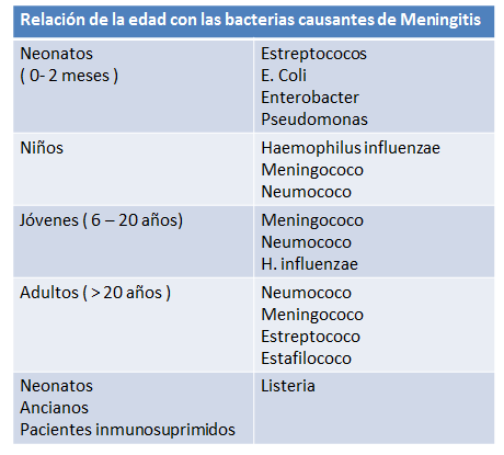 Signos meningeos