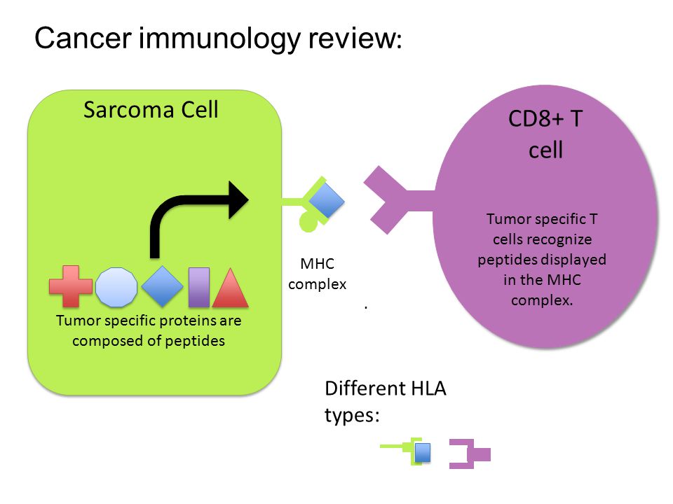 My Life with Stage IV Synovial Sarcoma: T Cell Infusion. Day 0!