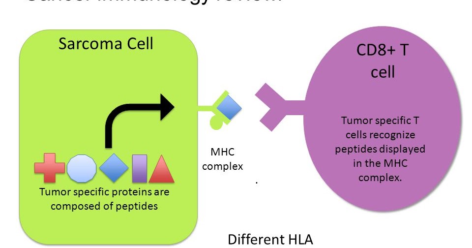 My Life with Stage IV Synovial Sarcoma: T Cell Infusion. Day 0!
