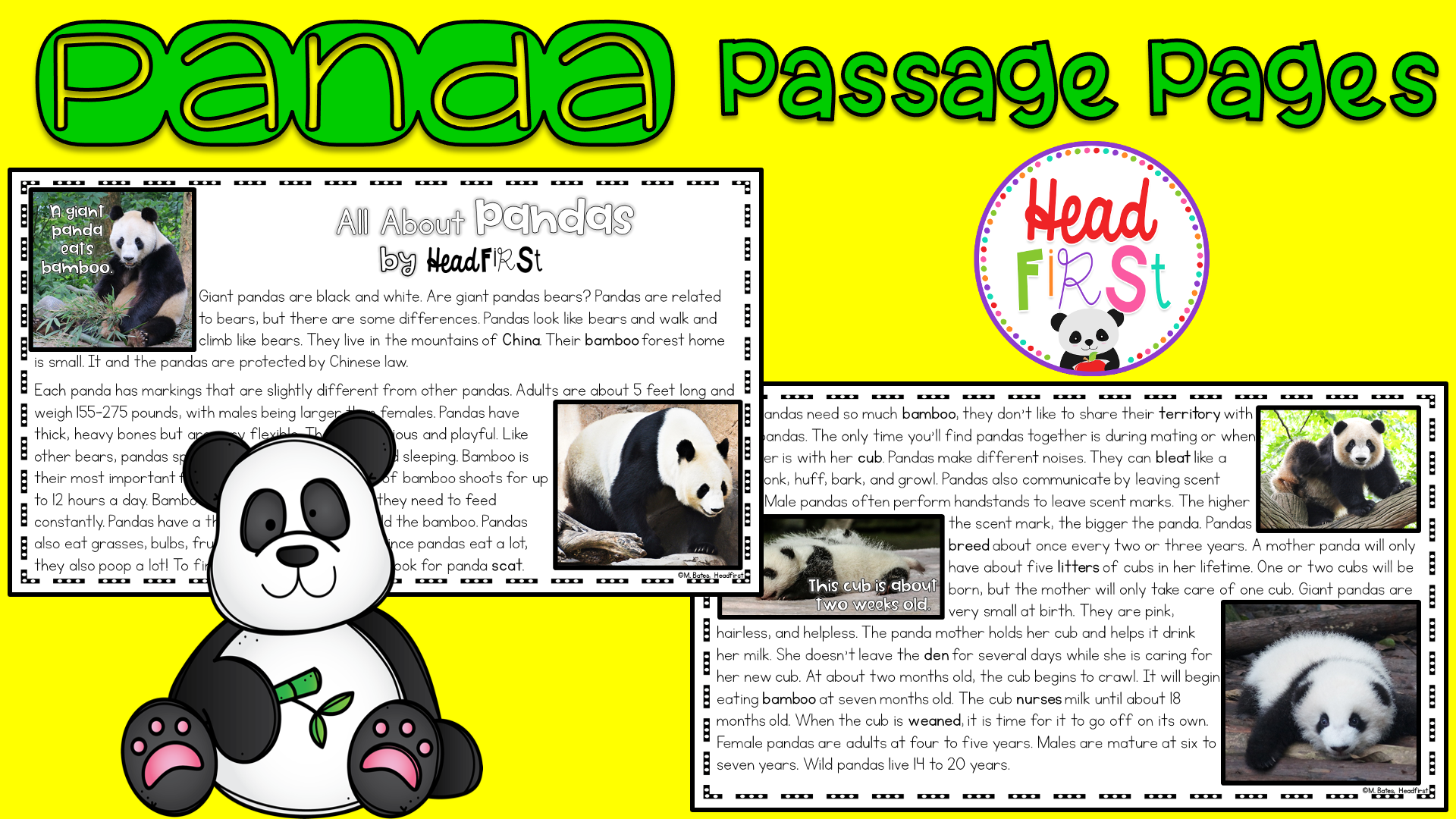 Headfirst - a blog for primary teachers by a first grade teacher ...