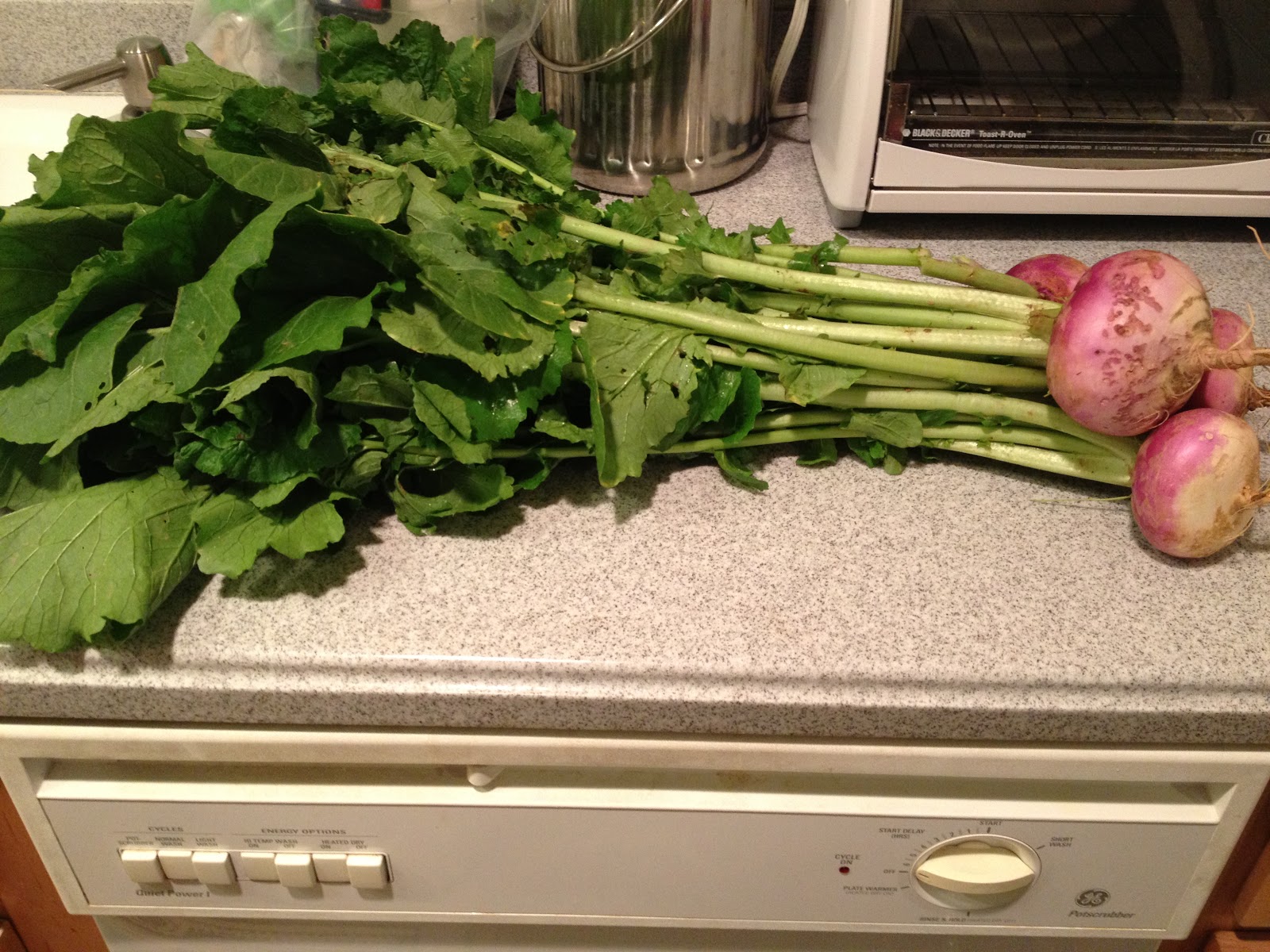 Mad About Food: Salads and Giant Turnips