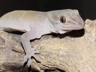 Great Collection For You: Gallery