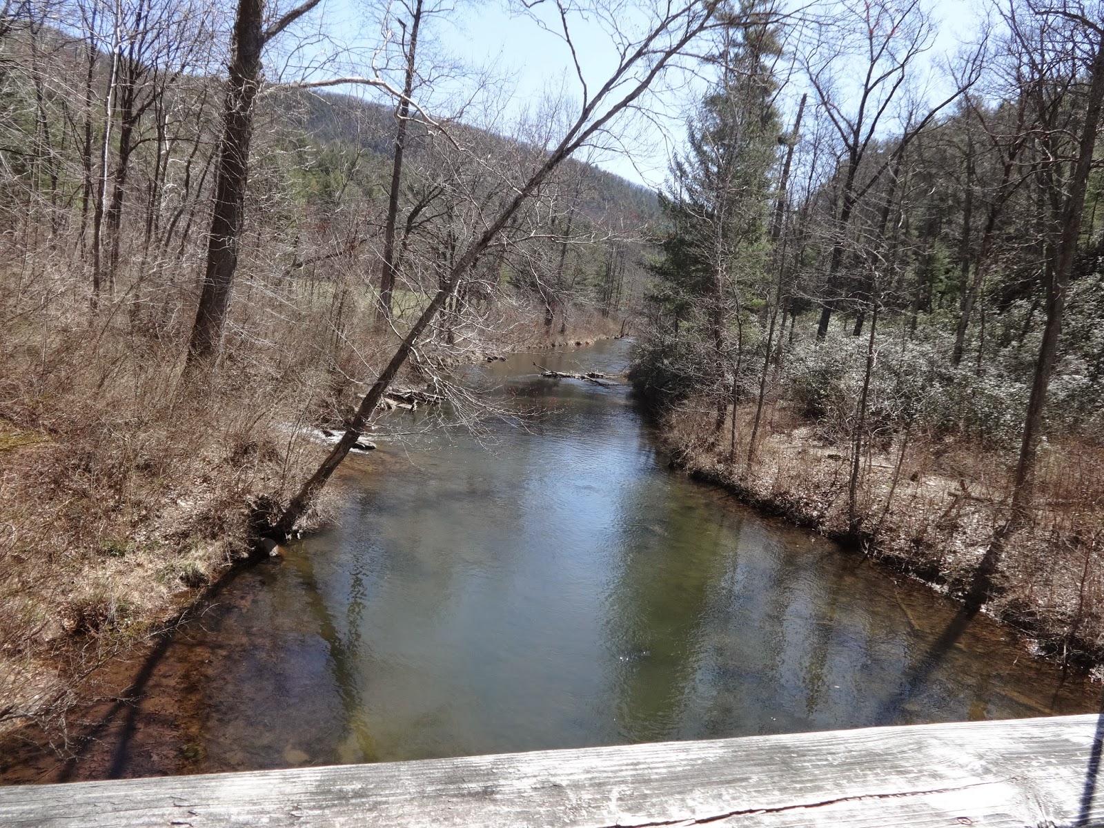 Appalachian Trail Section hiking: Punchbowl Shelter to Highway 60