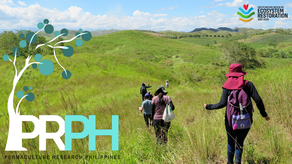 Permaculture Research PH: Layog Country Farm: Learning from the Wisdom ...