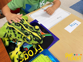 Our Classroom's a Zoo! | Just Teachy