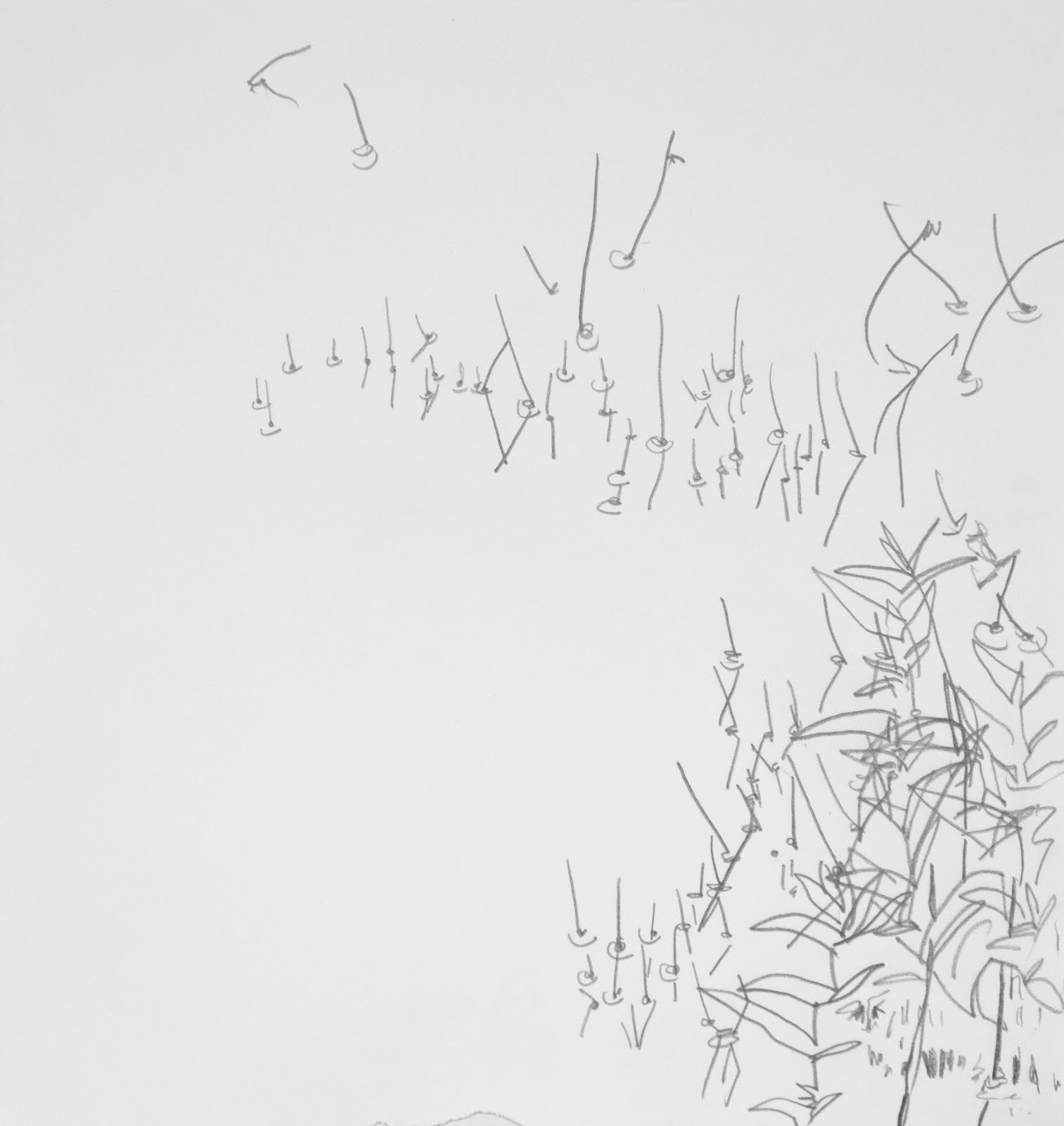 Michele Lauriat: Sample line drawings