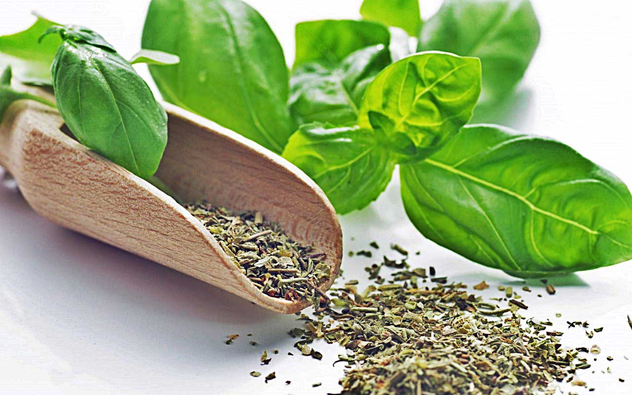 Le basilic : Propriétés , bienfaits et utilisation ~ Remèdes Maison