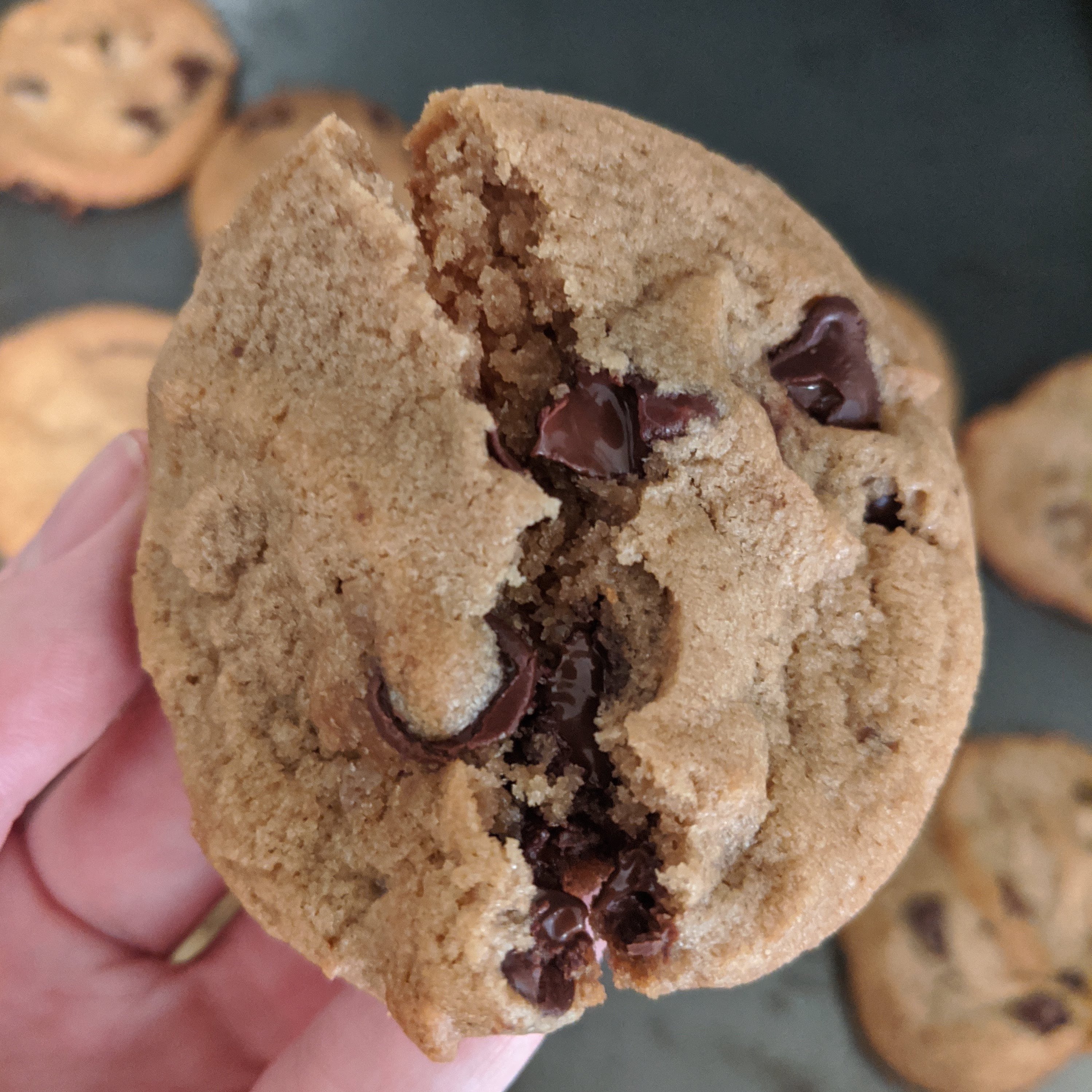 Vegan Adjacent: Review: Kroger Simple Truth Plant-Based Chocolate Chip ...