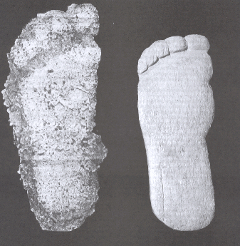 BIGFOOT'S bLOG: Early Bigfooter ED PATRICK: A New Account Surfaces ...