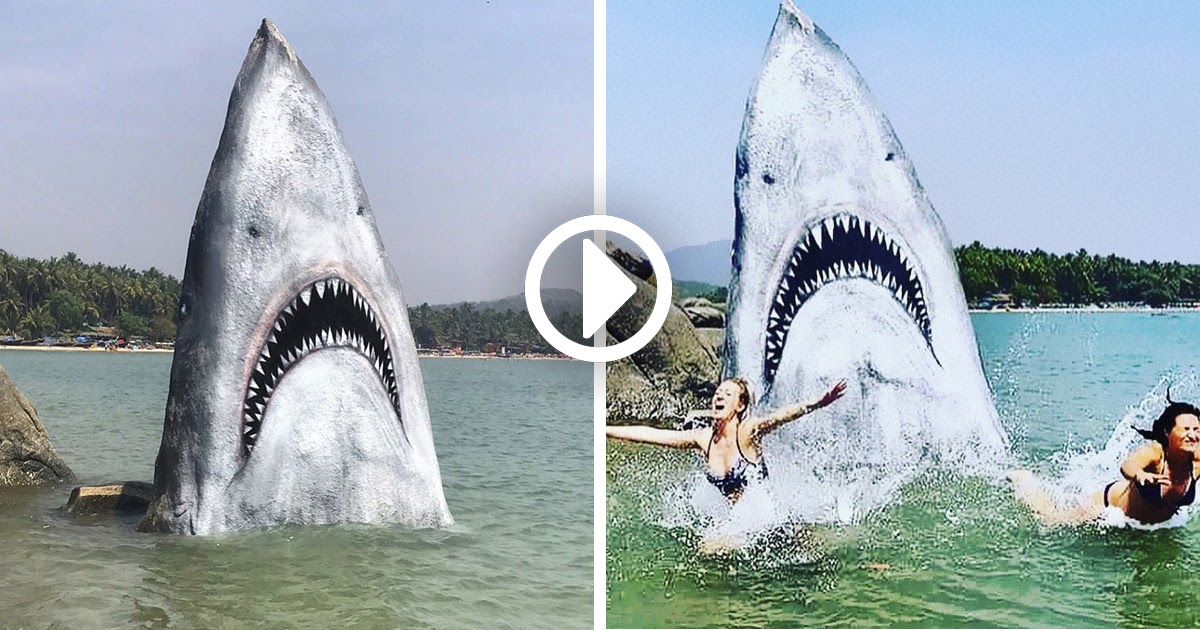 Amazing Fish- Big Fish Videos - Love The World