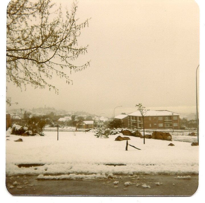 It's My Life ...: The "Big Snow" in 1981