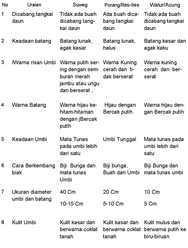 Pangan: SUWEG , PORANG, WALUR (Amorphophallus)