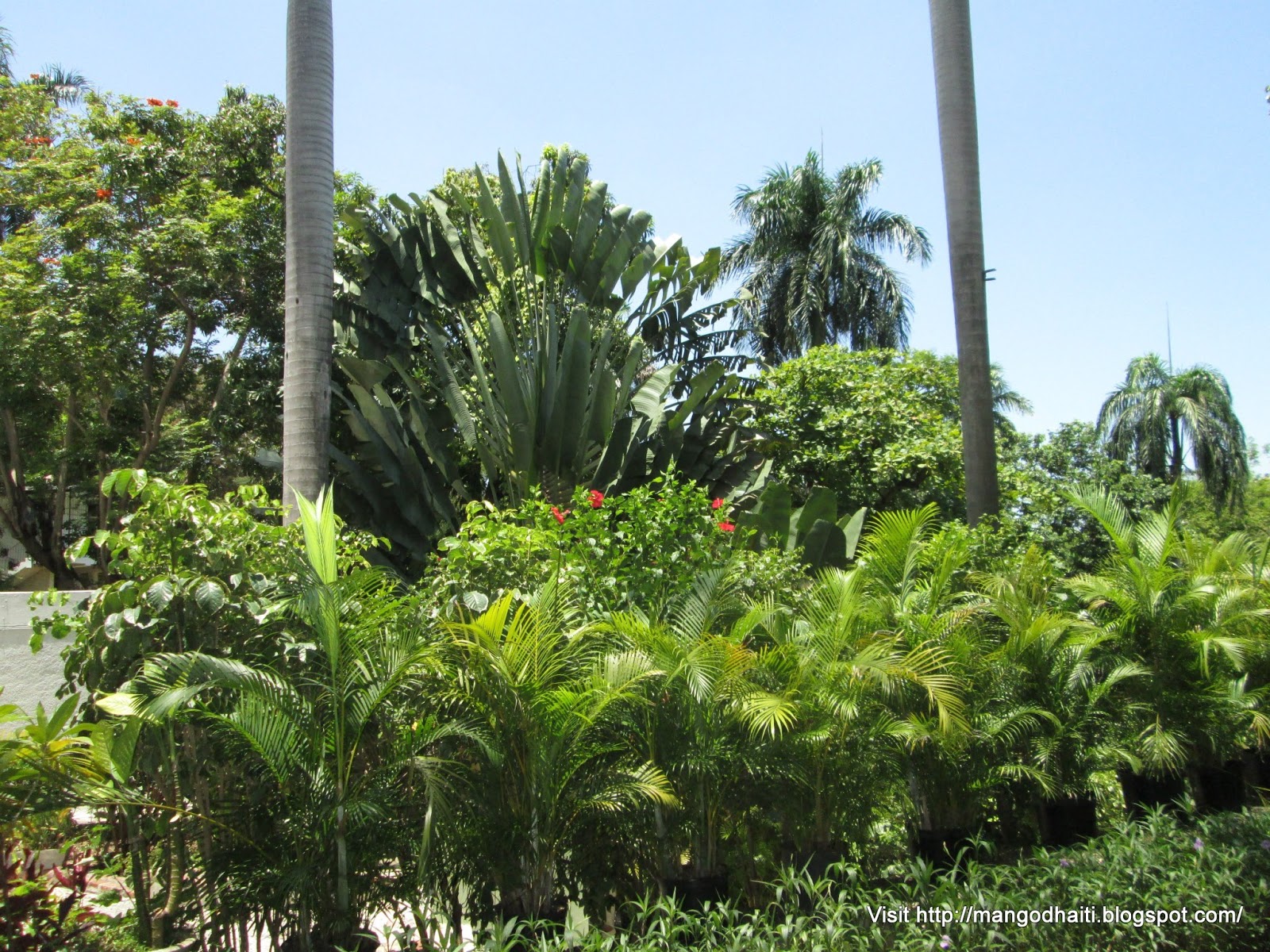 Stephanie Villedrouin-Visite au Parc de Martissant