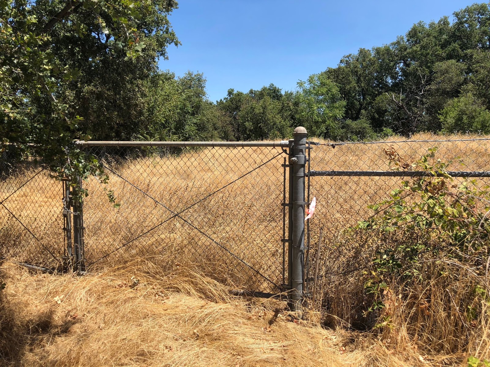 Exploring Shasta County history by Jeremy M. Tuggle: MAJOR PIERSON ...