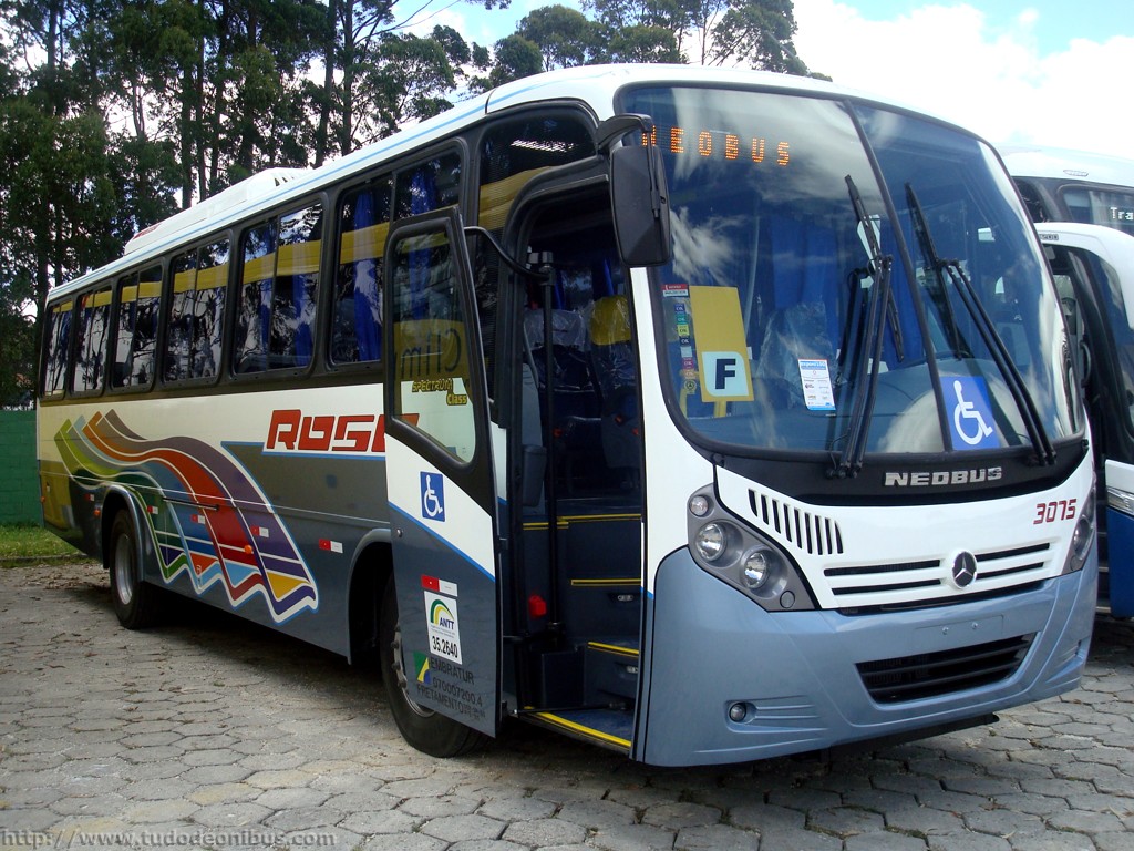 Tudo De nibus Spectrum Class Rosa Tudo De nibus Spectrum Class Rosa