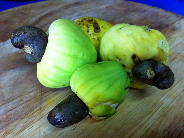 Kenangan membakar biji gajus semasa kecil