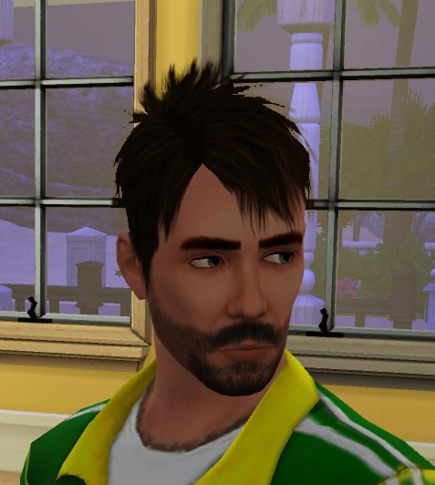 Adventures with Sims 3: Family Bios from Sunset Valley - The Hunter ...