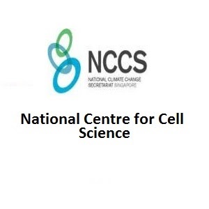 National Centre for Cell Science - NCCS Recruitment 2021 - Last Date 14 February ~ Govt Exam Update