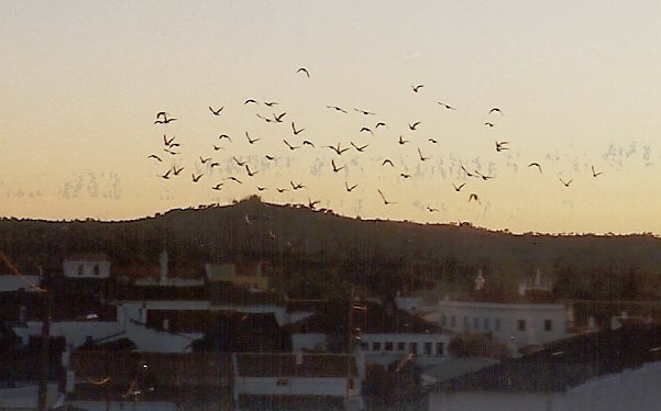 Kant_O_Photomático: Memórias de Beringel e do Alentejo