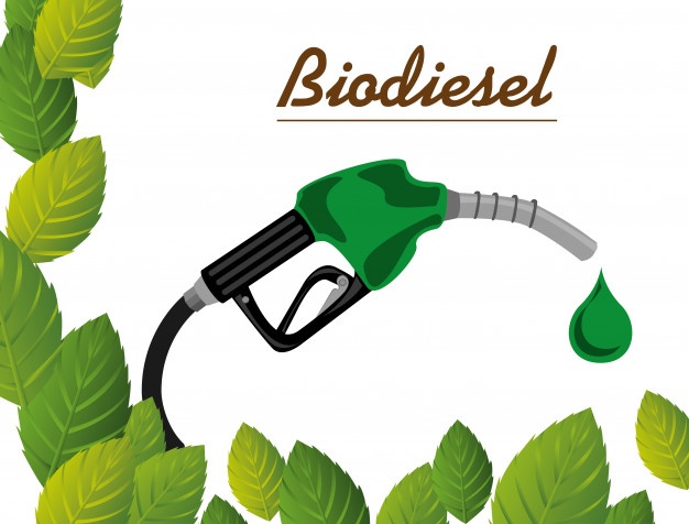 What Are The Advantages and Types Of Biodiesel?