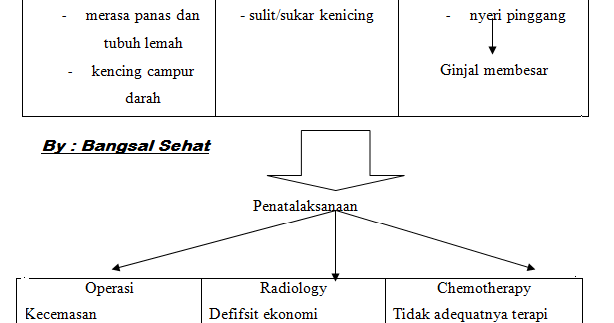 Laporan Pendahuan Ca (Karsinoma) Buli-buli / Tumor Buli-buli Lengkap ...