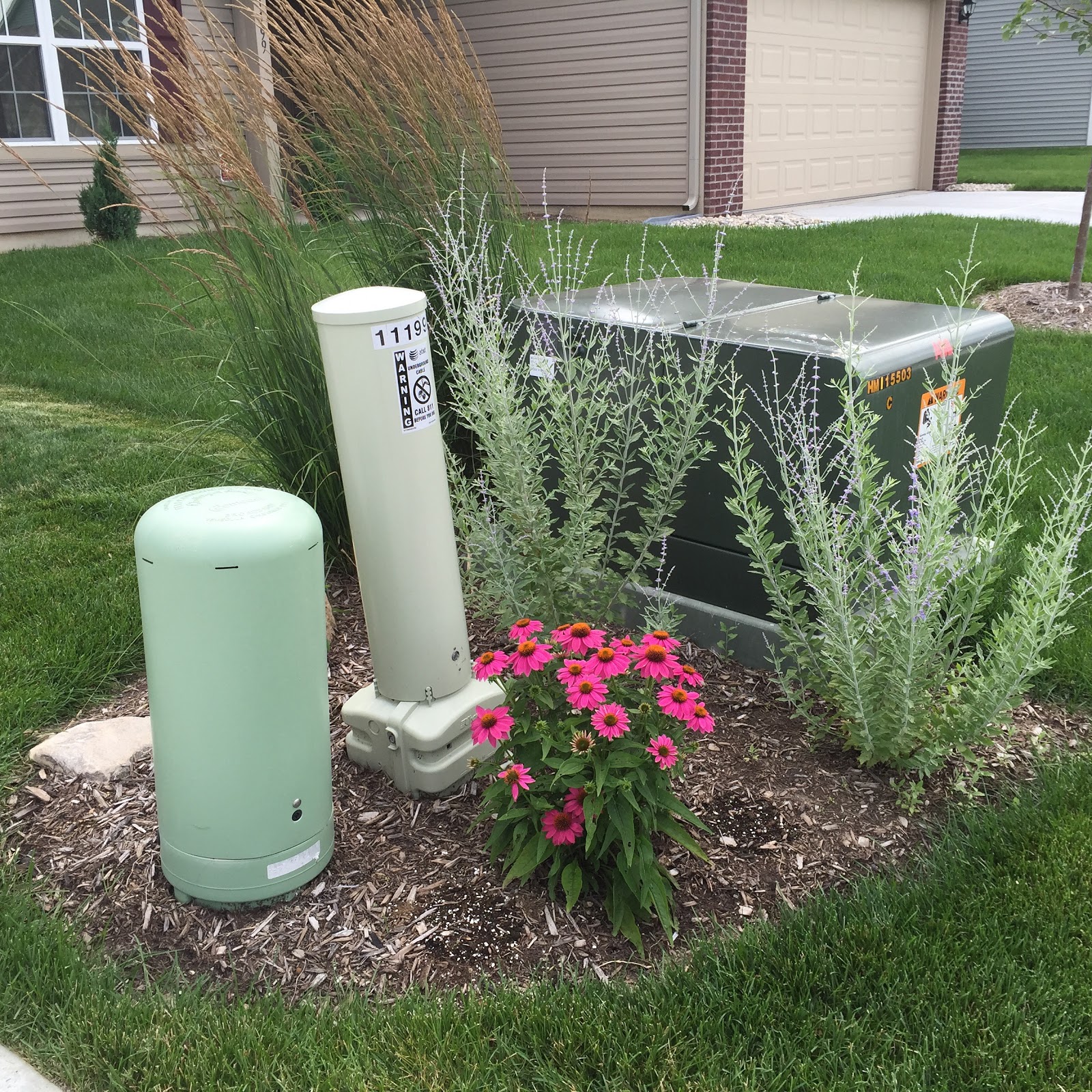 Backyard Neophyte Landscaping Blog: List of Plants in My Yard
