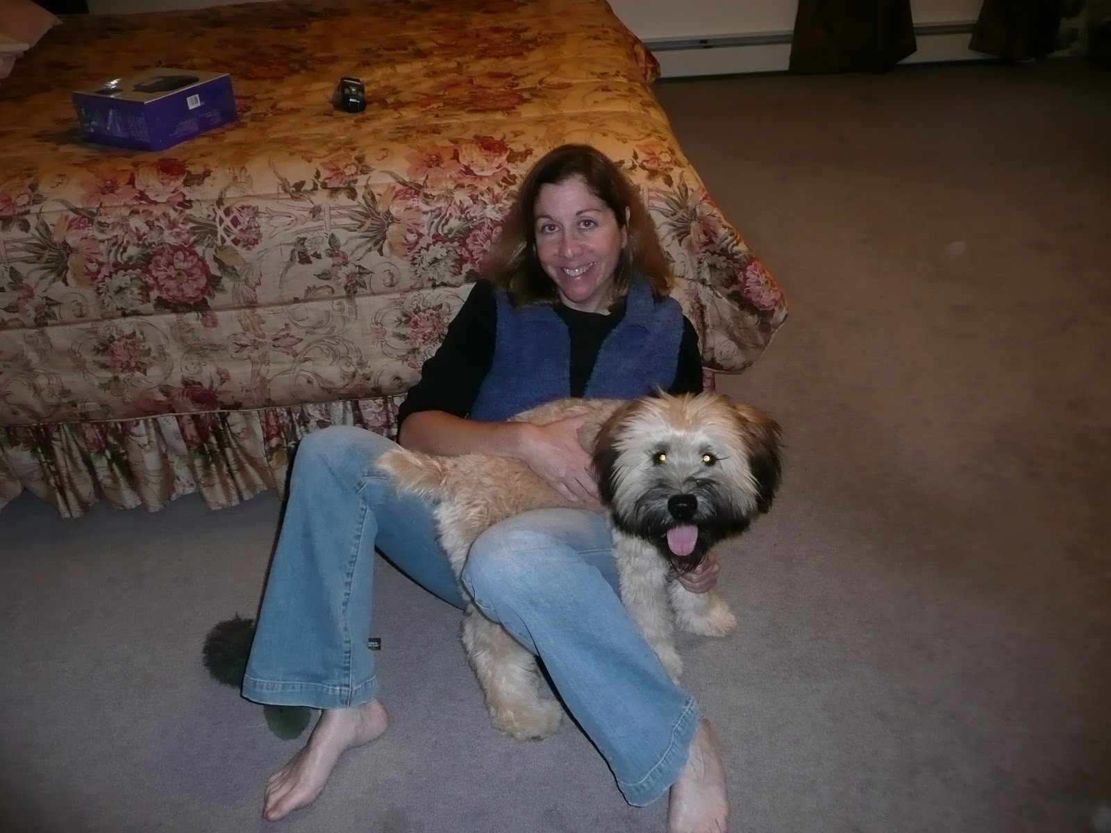 BookHounds: Cool Authors, Haute Dogs: AMY LEWIS FAIRCLOTH