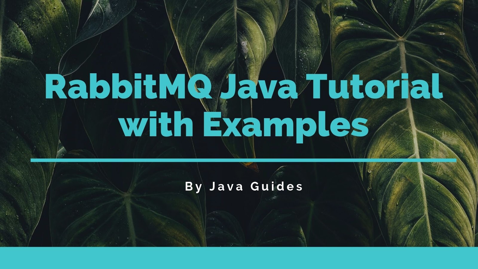 RabbitMQ Java Tutorial with Examples RabbitMQ Java Tutorial with Examples