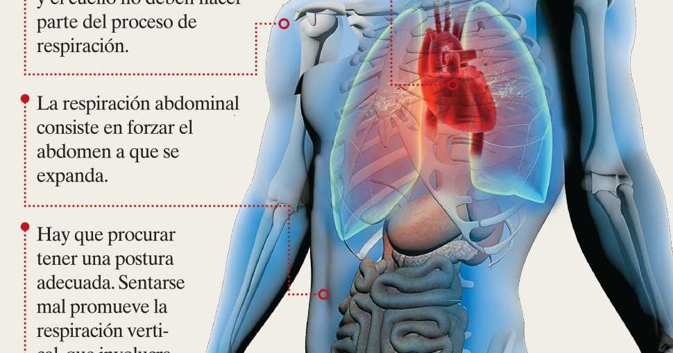 Los Ingredientes de La Vida: "La Respiración"