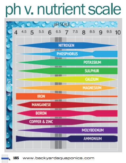 365 Aquaponics: The IBC of Aquaponics