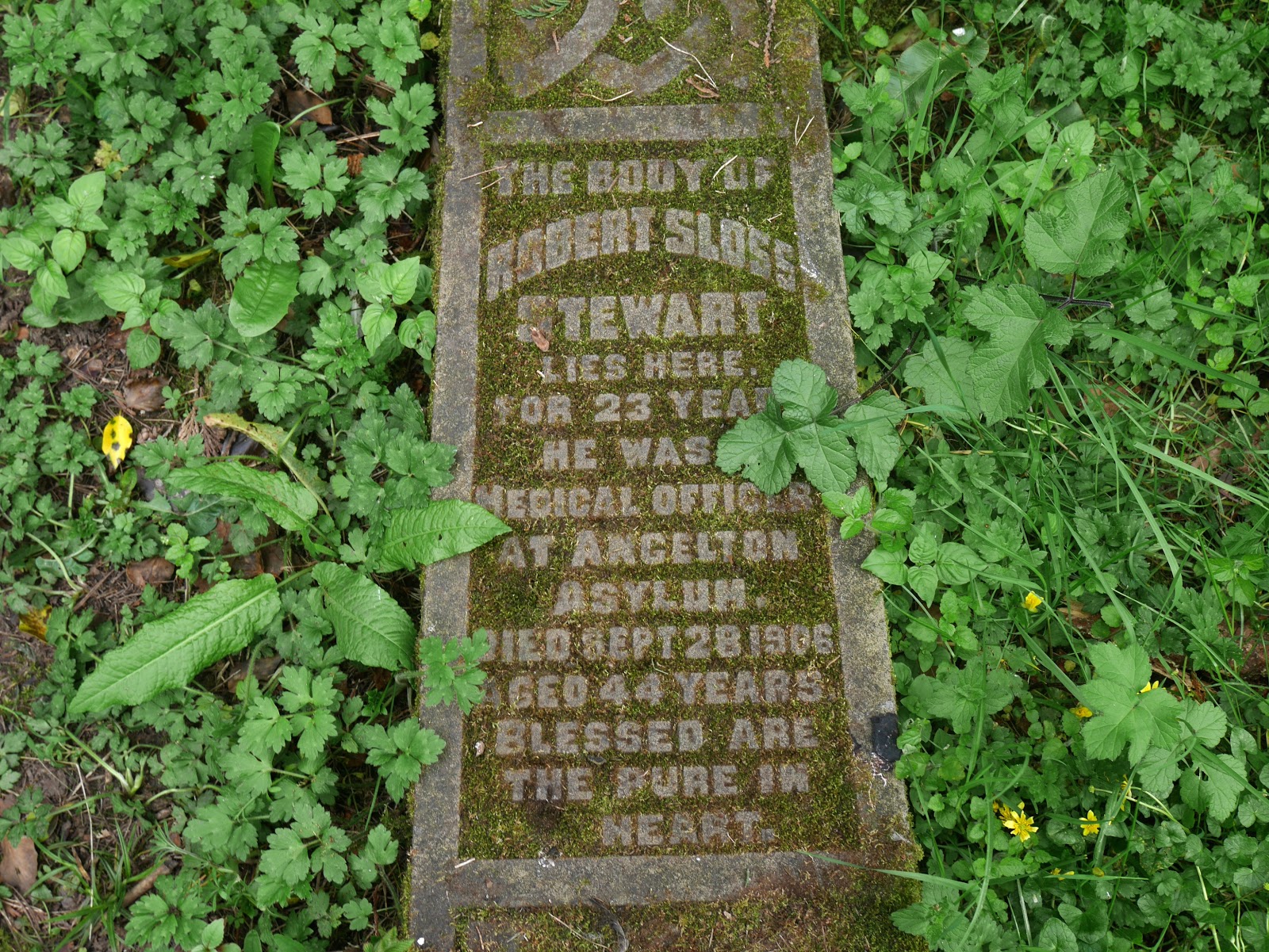 Who is Buried Here? | Dr. Robert Sloss Stewart. | Louvain Rees ...