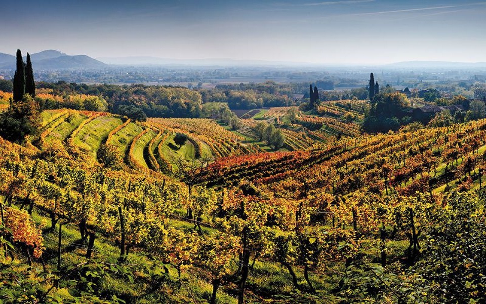 youwinemagazine: marzo 2021