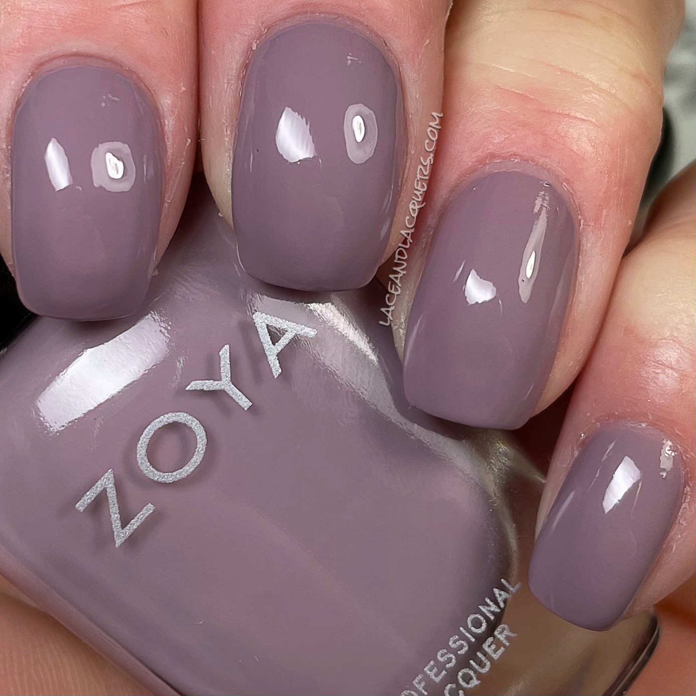 Lace and Lacquers: ZOYA: Transitional 2020 Naturel 4 Collection [Evelyn ...