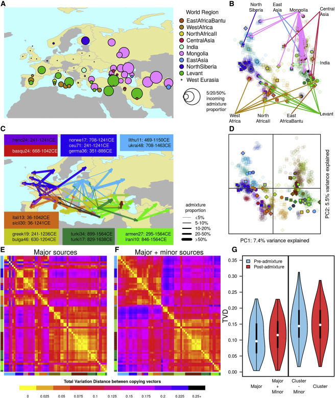 race/history/evolution notes: Minor sub-Saharan and substantial ...