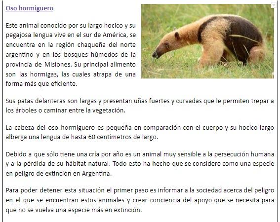 Blog de Segundo Grado B del Maryland