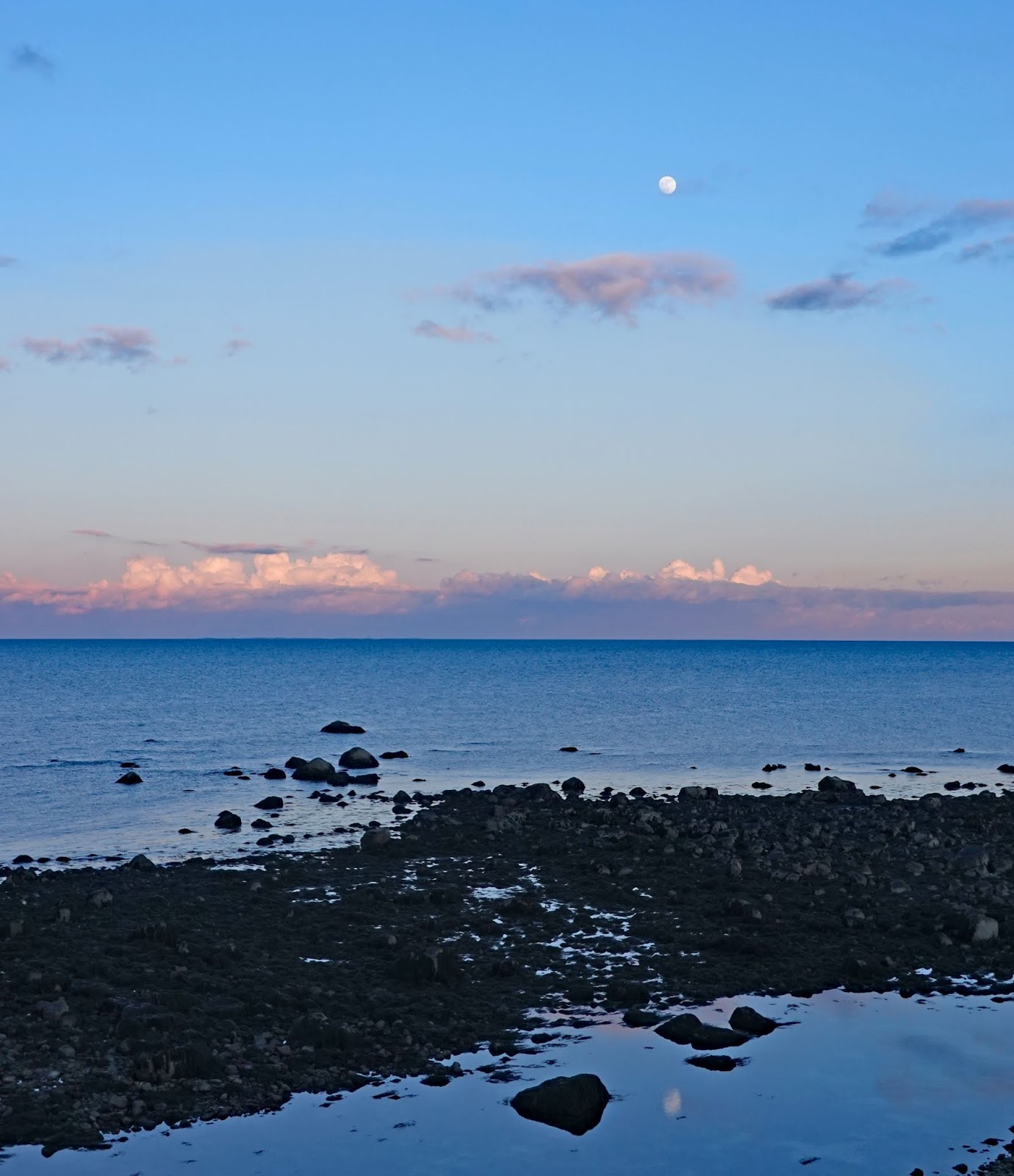 Joe's Retirement Blog: Cold But Not Much Snow, Manomet, Plymouth ...