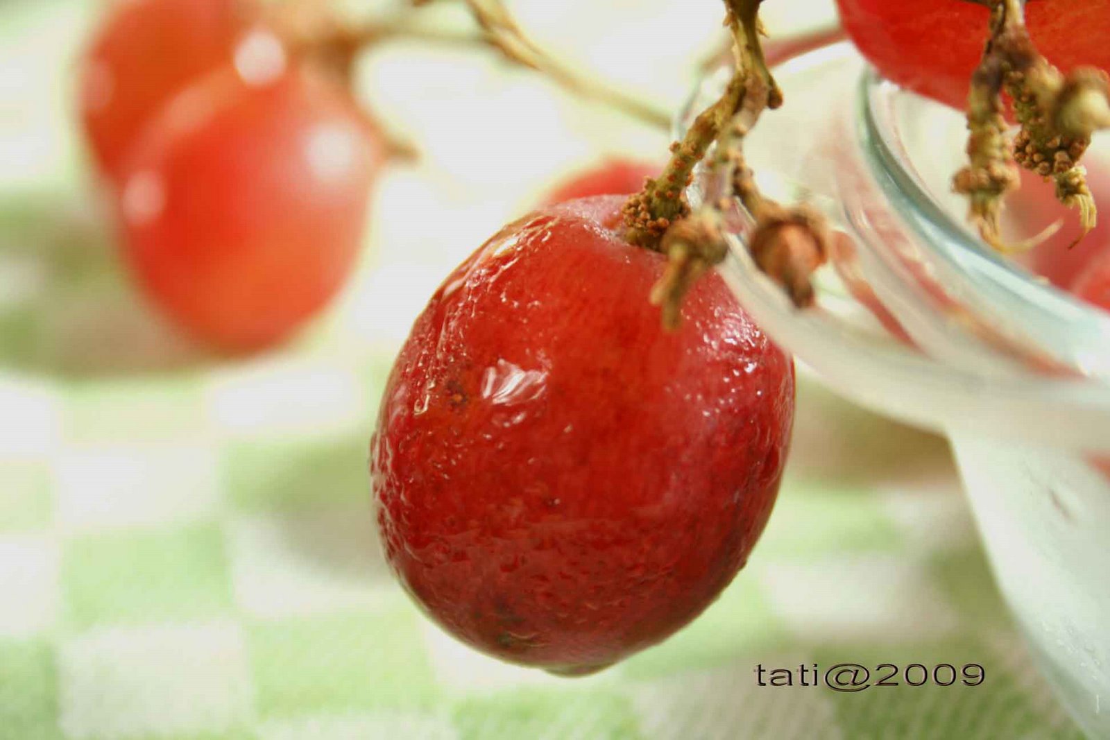 Penjejak Fityatul Kahfi: Bahana Sebiji Anggur..