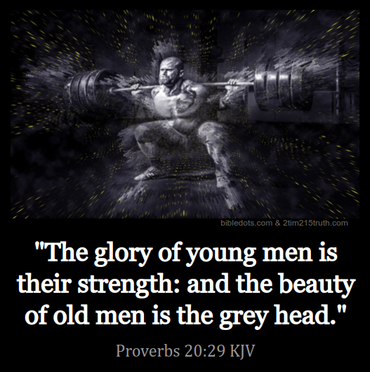 2 Timothy 2 15 Truth Verse Of The Day Proverbs 20 29 KJV 2-timothy-2-15-truth-verse-of-the-day-proverbs-20-29-kjv
