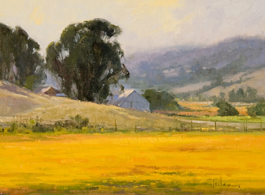 Elizabeth Tolley: FINDING BEAUTY: Backroads Close to Home