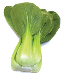 Shanghai bok choy - also known as baby bok choy - is delicious and healthy!