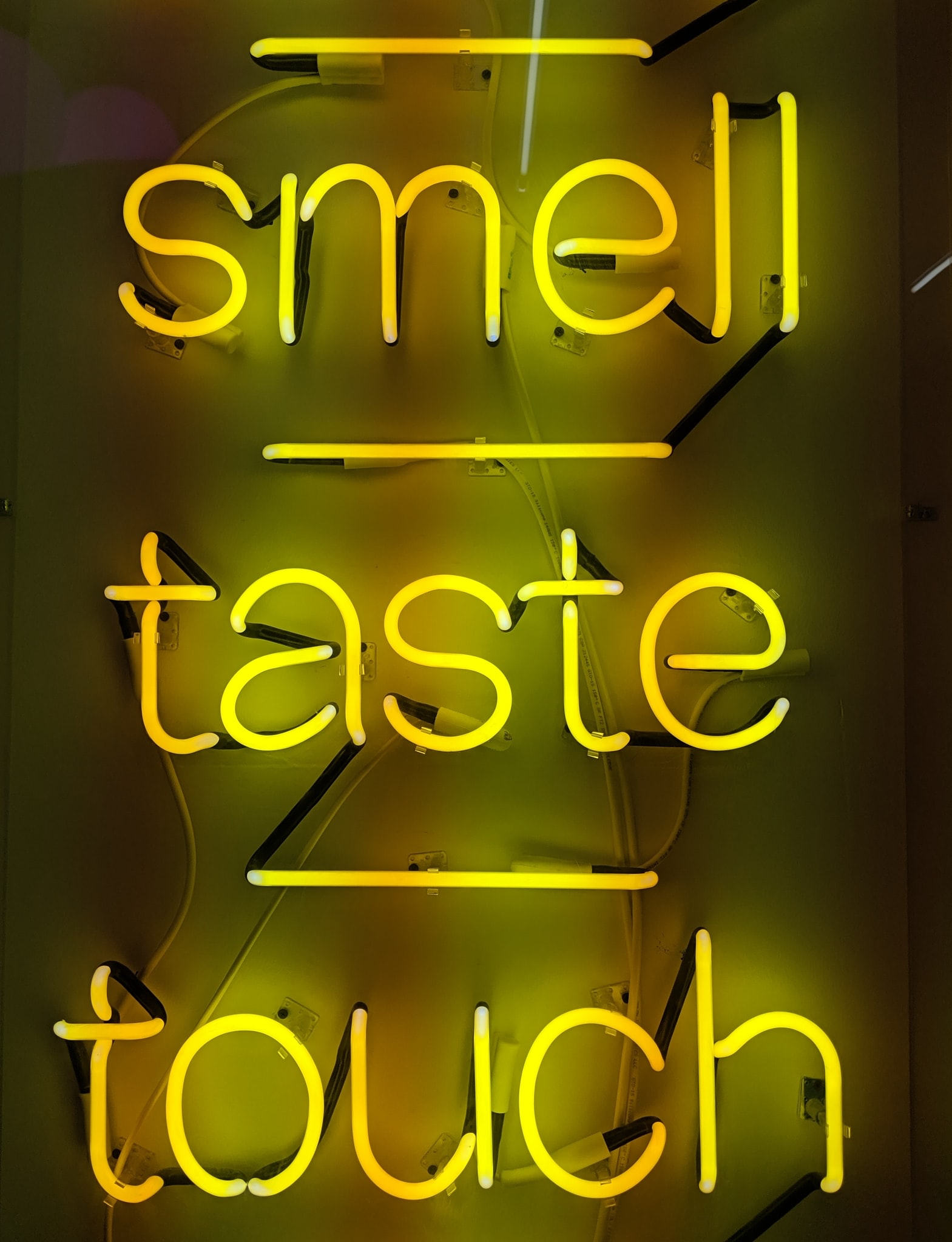 KIZER & BENDER's Retail Adventures: Smell, Taste, Touch: How to Use the ...