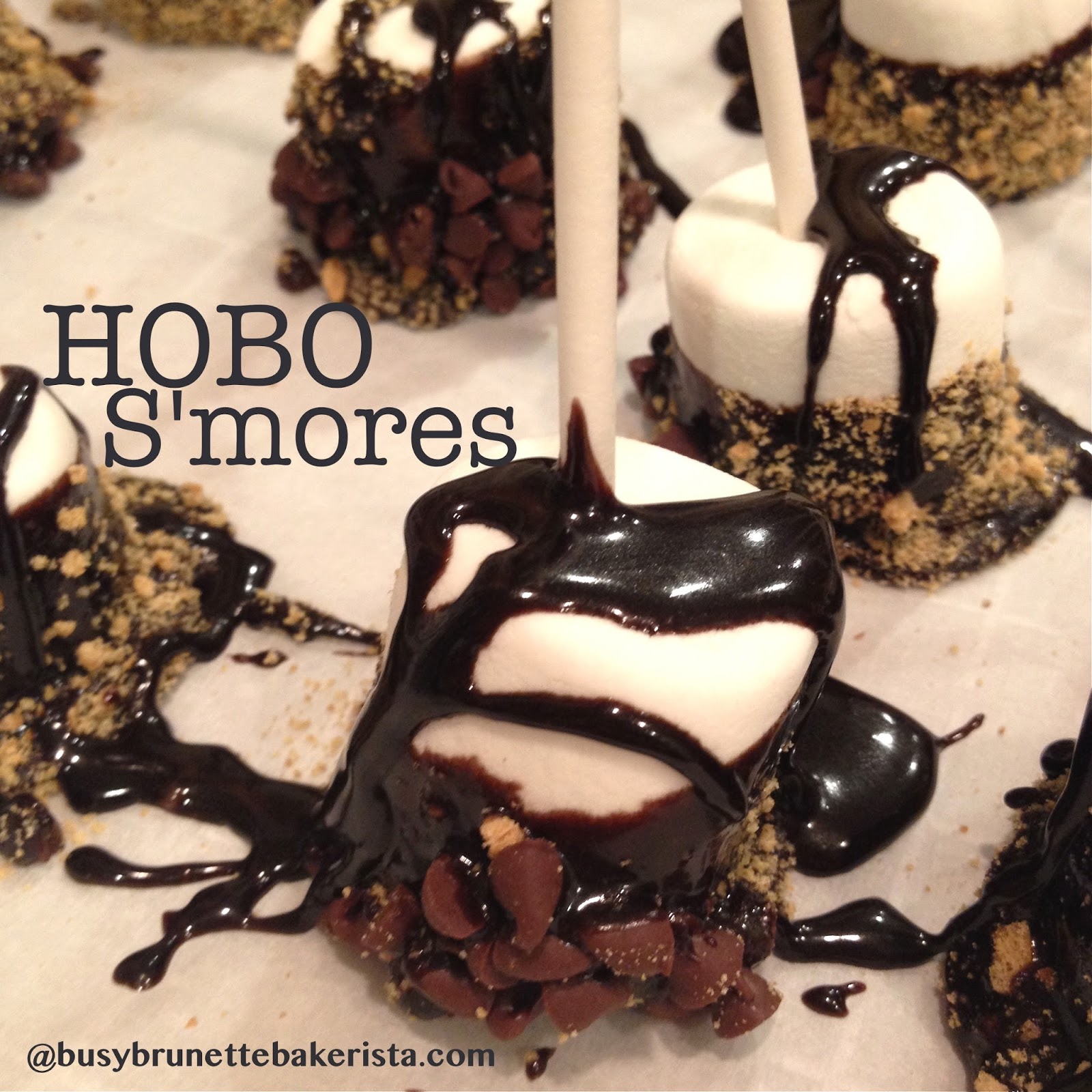 HOBO S'mores