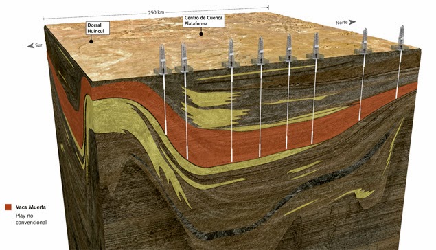 EL SUELO : CAPAS DEL SUELO